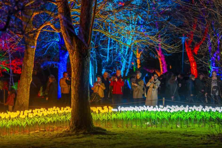 Parkleuchten 2025 im Grugapark Essen: Öffnungszeiten, Highlights und ... Parkleuchten 2025 im Grugapark Essen: Öffnungszeiten, Highlights und ...
